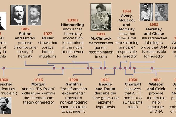 Biotechnology- recent developemnts - Science of health